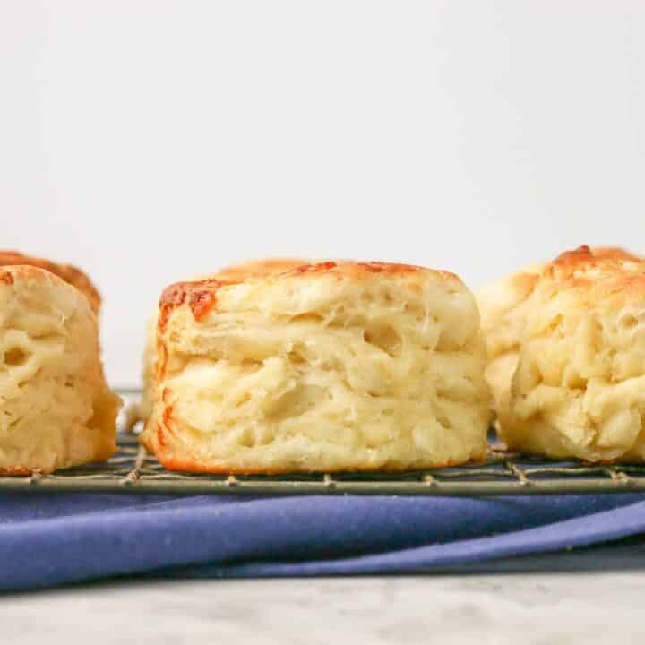 3-Ingredient Self-Rising Biscuits (+ video!) - Boston Girl Bakes