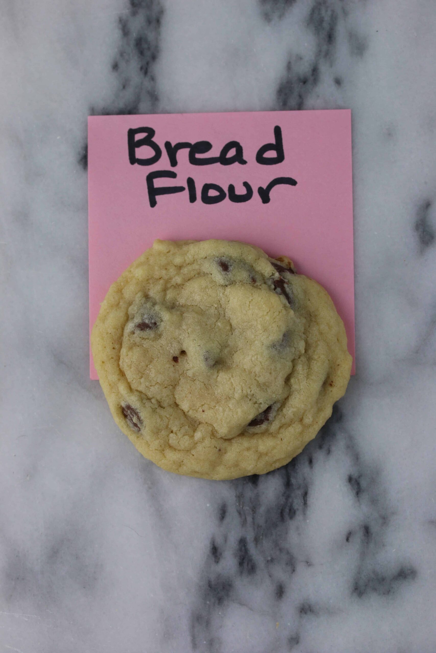 Which Flour Is Best For Cookies? - Boston Girl Bakes
