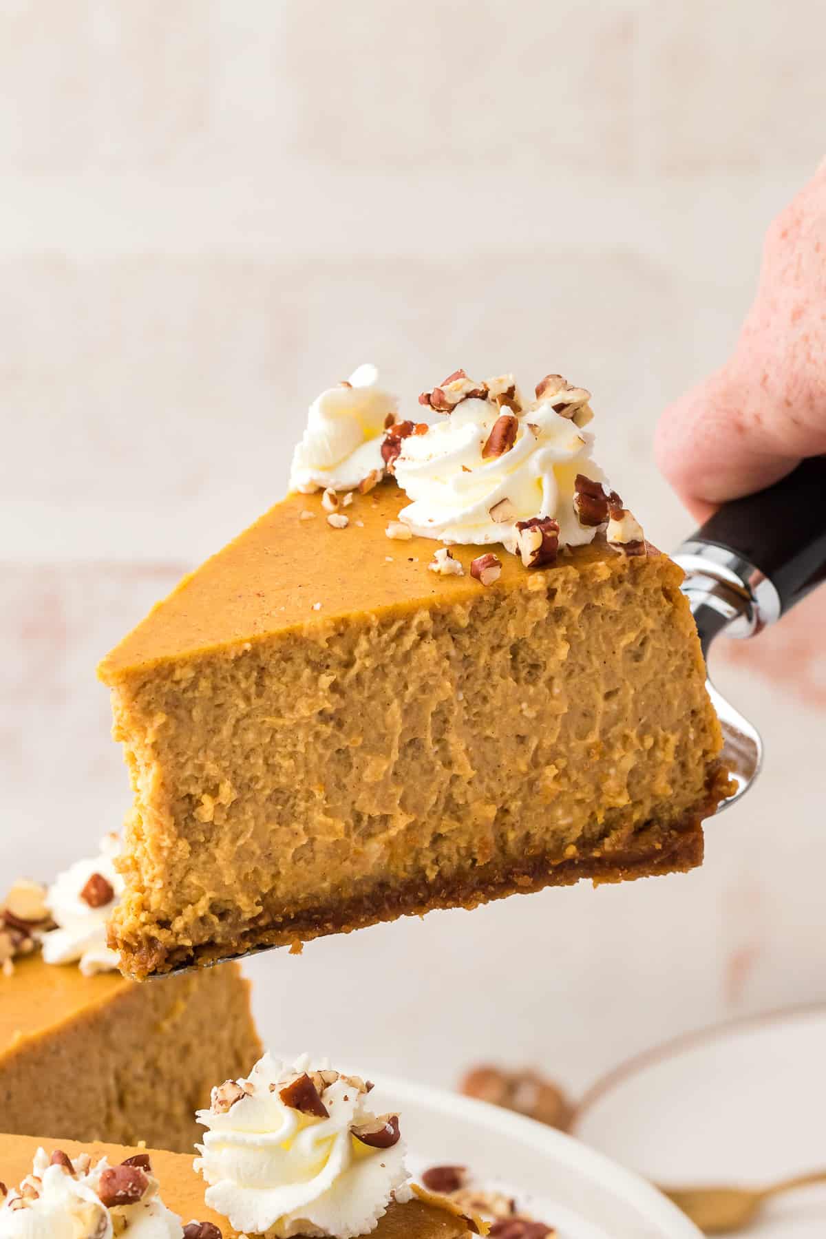 45 Cheesecake Recipes - Boston Girl Bakes
