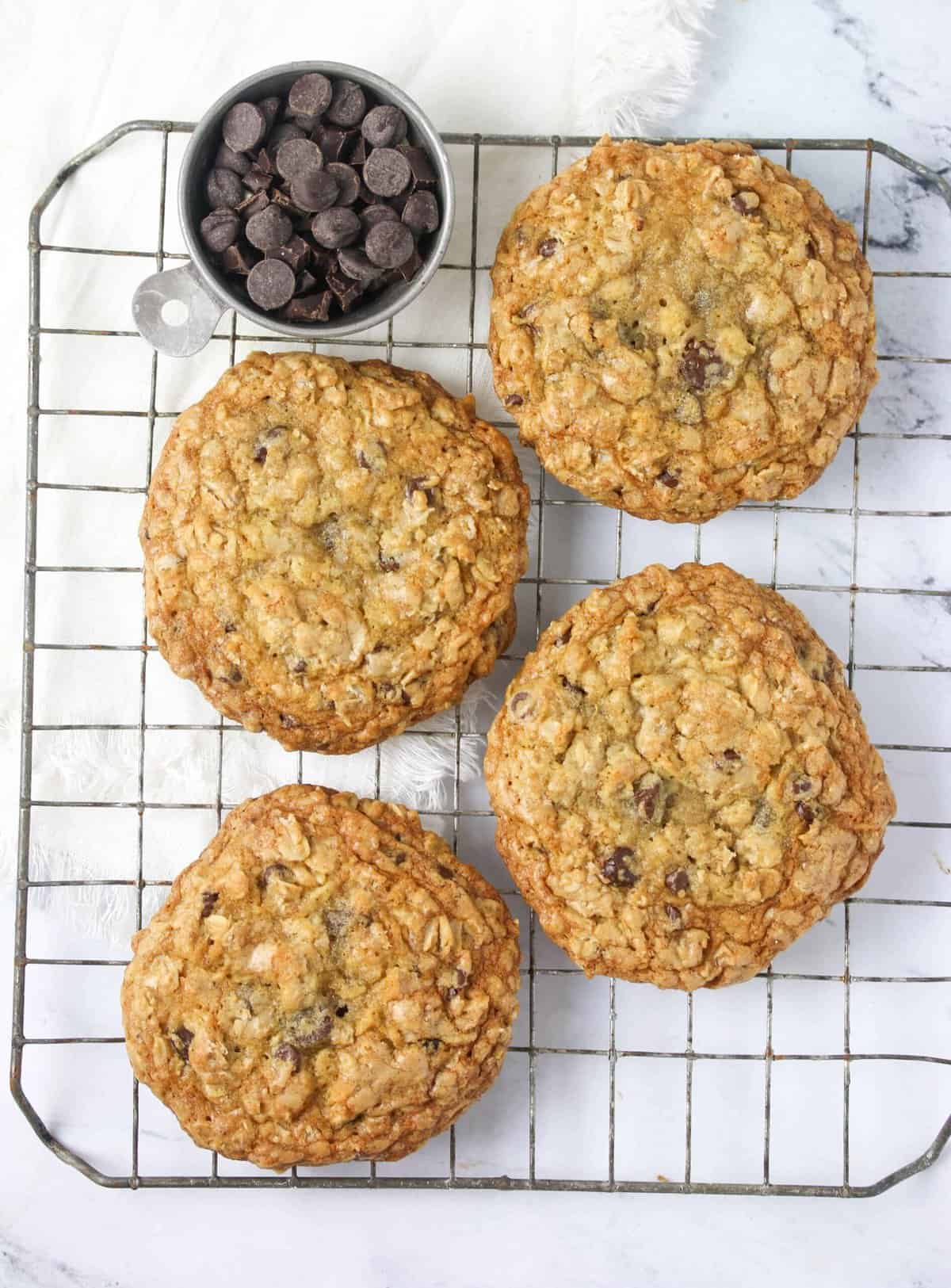 The BEST Oatmeal Chocolate Chip Cookies- Boston Girl Bakes