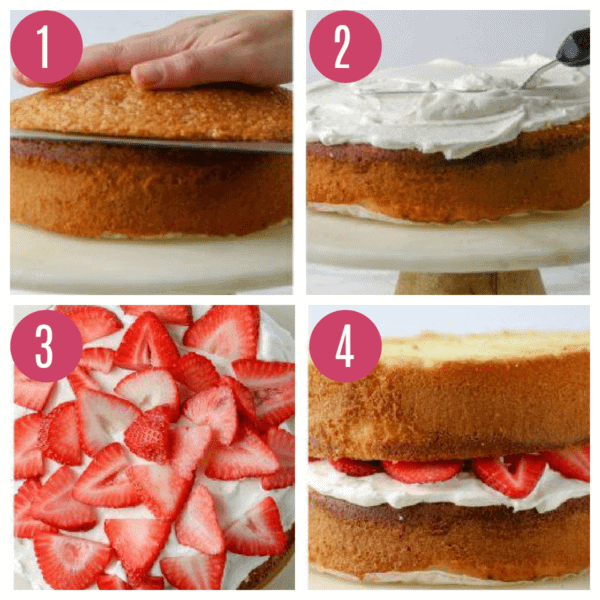 Vanilla Sponge Cake - Boston Girl Bakes