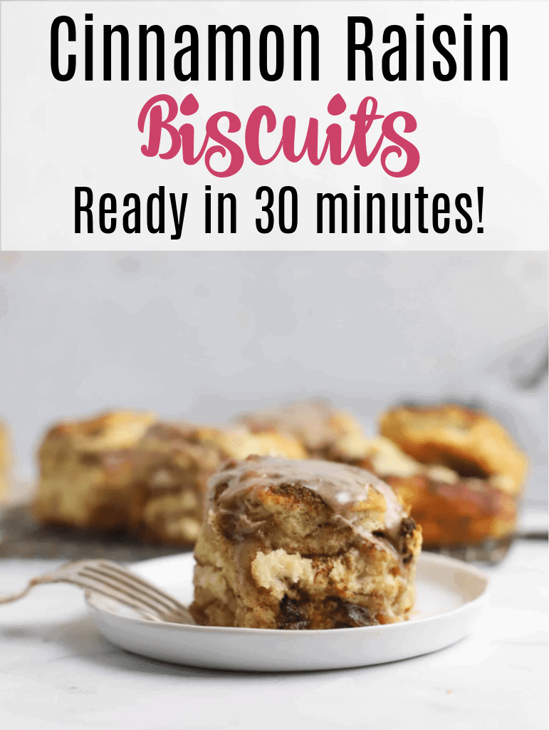 The BEST Cinnamon Raisin Biscuits (+Video!) - Boston Girl Bakes