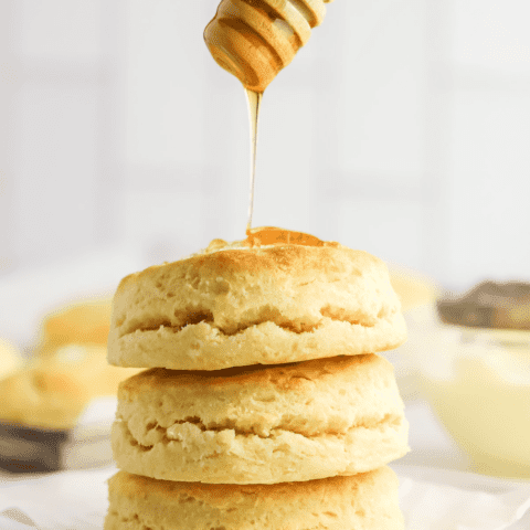EASY 2 Ingredient Biscuits (Ready In 30 Minutes!)