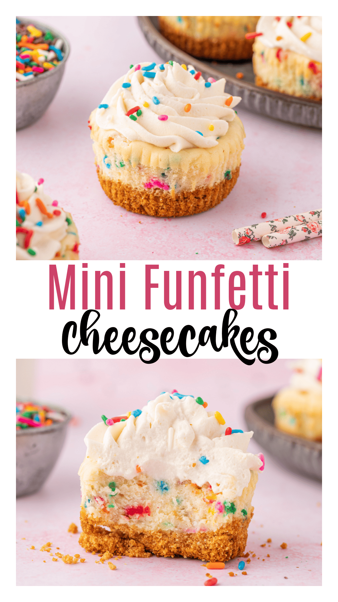 Mini Funfetti Cheesecake Recipe - Boston Girl Bakes