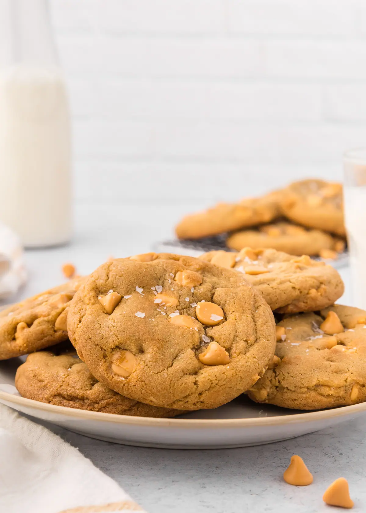 The BEST Butterscotch Cookie Recipe - Boston Girl Bakes