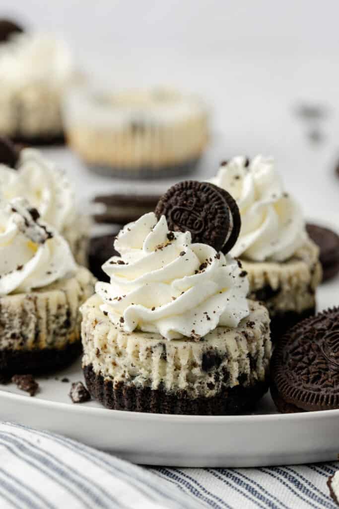 Easy Oreo Mini Cheesecakes Recipe (With Oreo Crust)