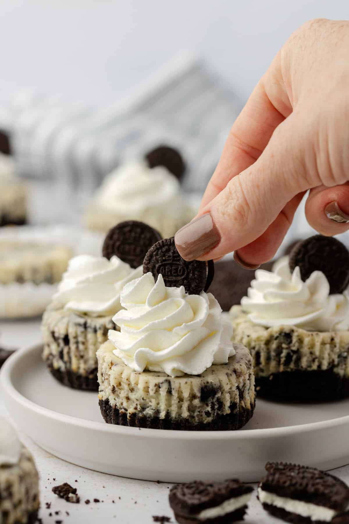 Easy Oreo Mini Cheesecakes Recipe (With Oreo Crust)