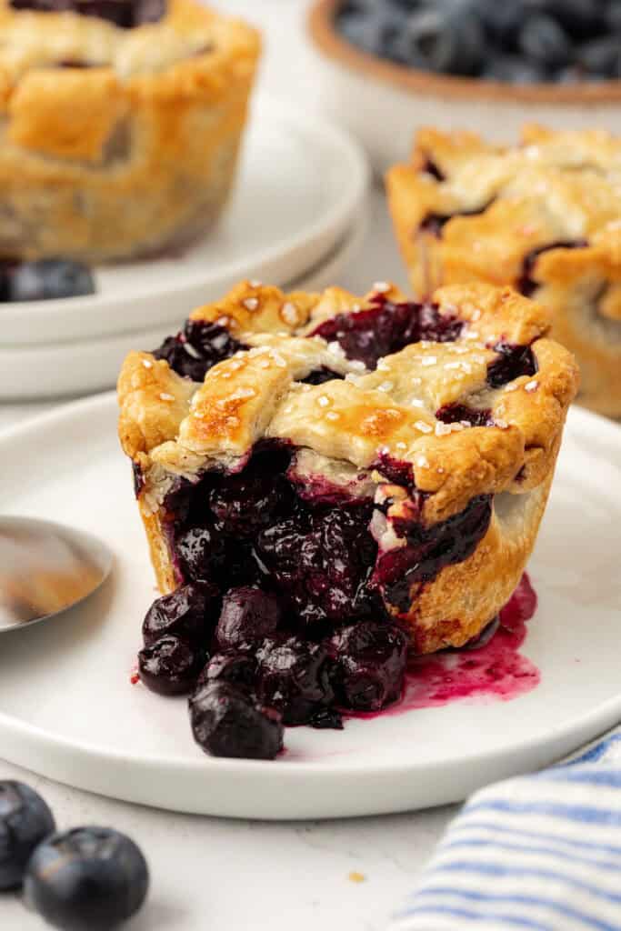 20+ Blueberry Dessert Recipes