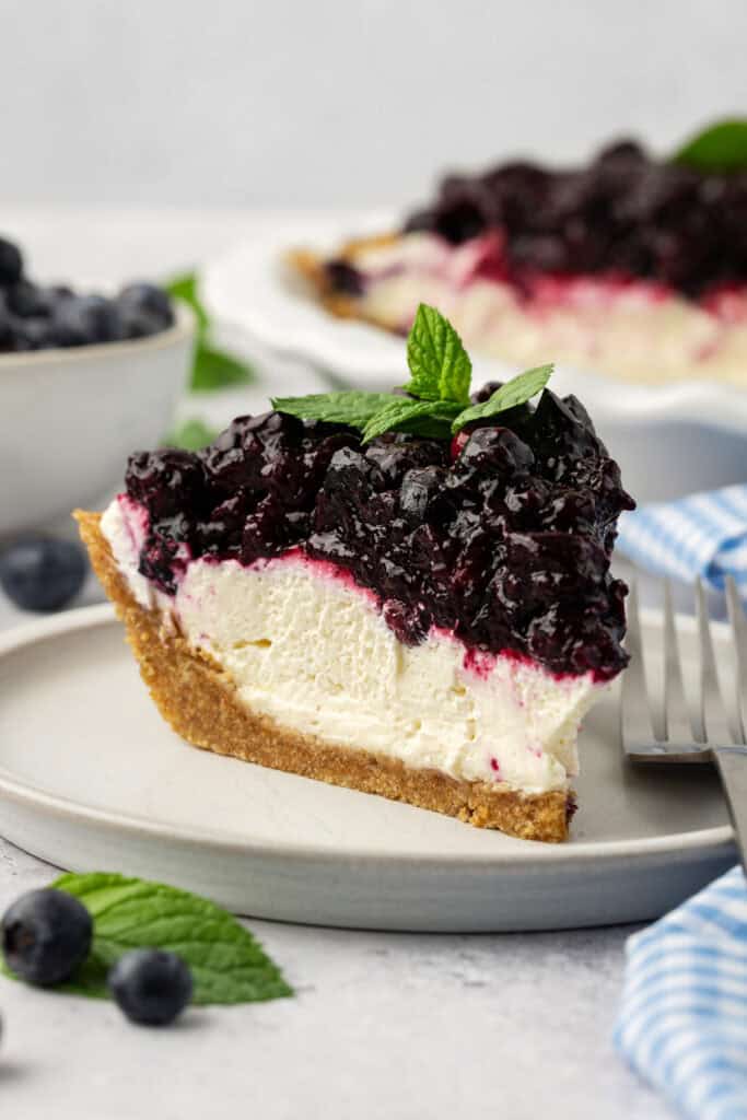 20+ Blueberry Dessert Recipes