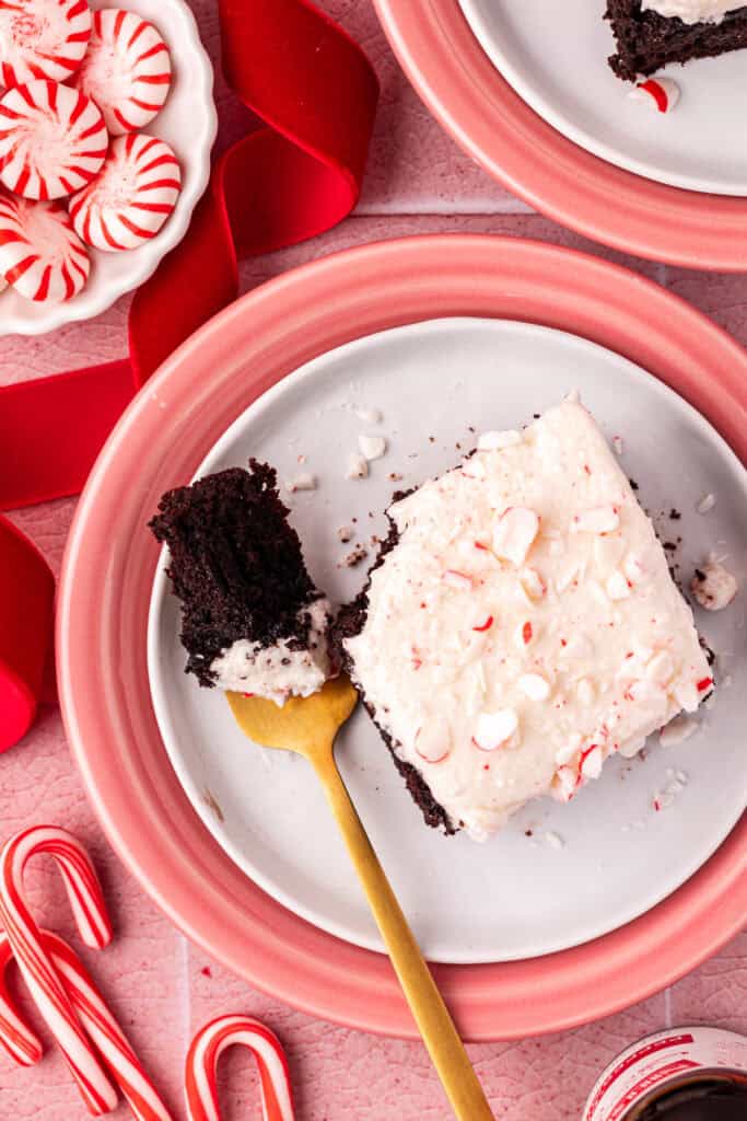 Best Chocolate Peppermint Cake (easy sheet cake!)