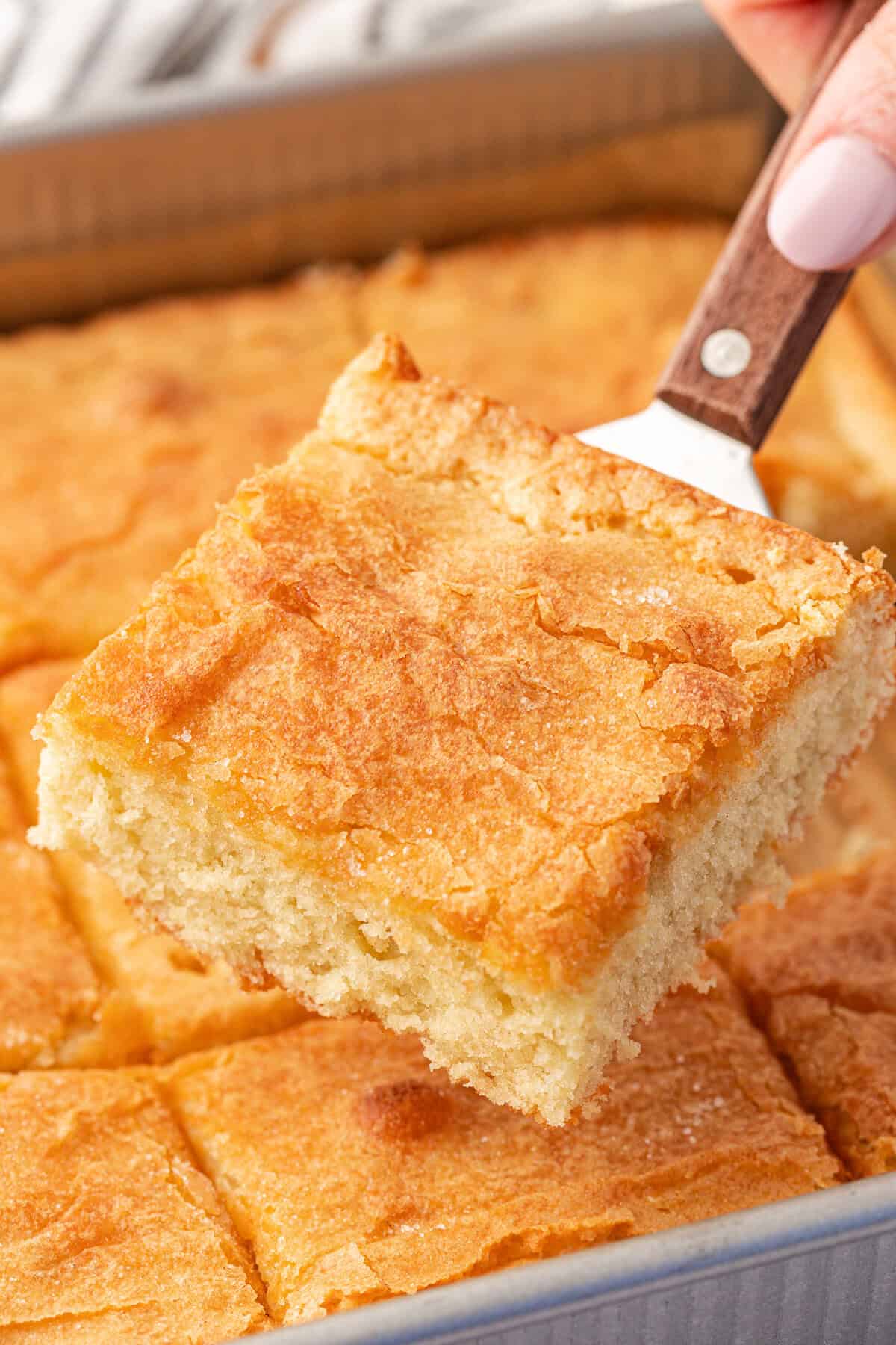 Easy Butter Cake Recipe (Made In A Square Pan!)
