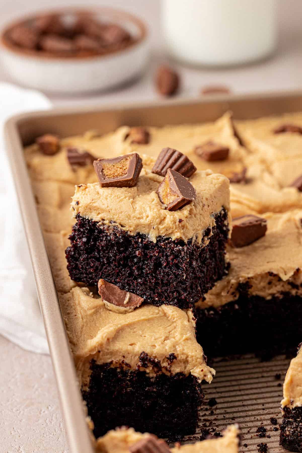 Chocolate Peanut Butter Sheet Cake - Boston Girl Bakes