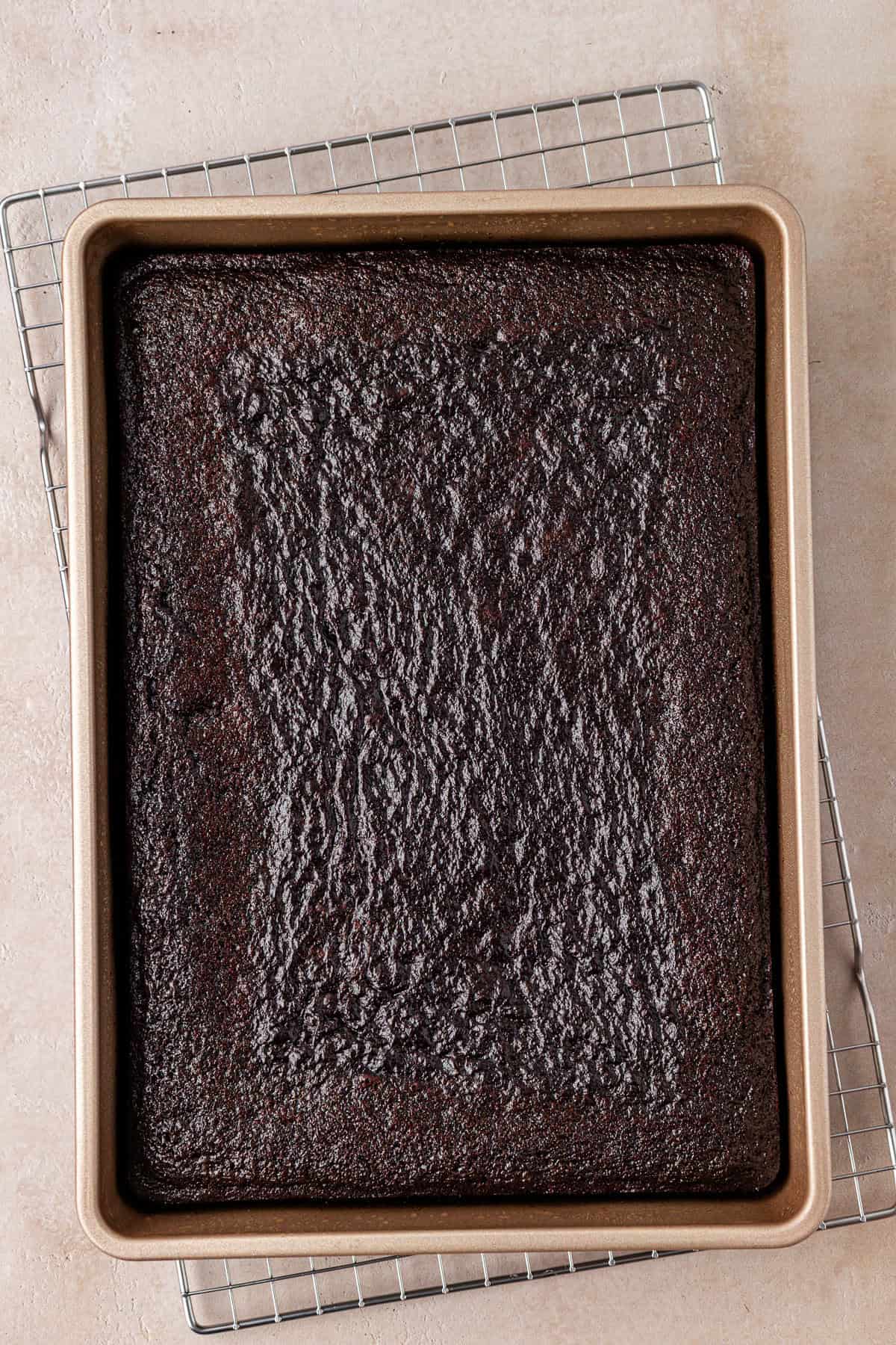 Chocolate Peanut Butter Sheet Cake - Boston Girl Bakes