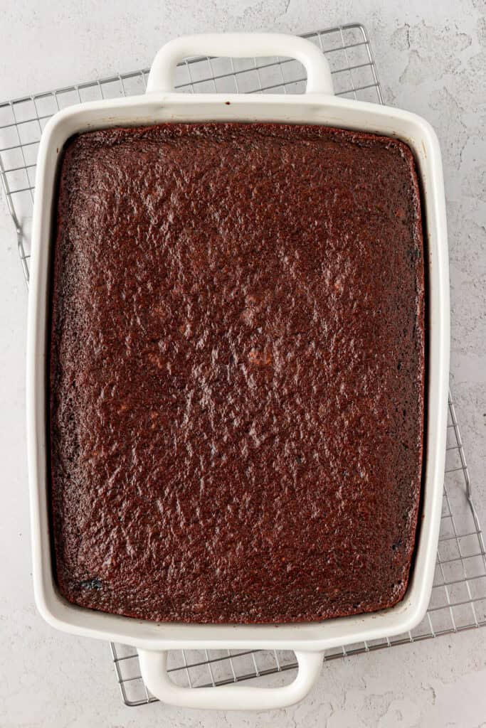 Mississippi Mud Cake (No Electric Mixer Needed!)