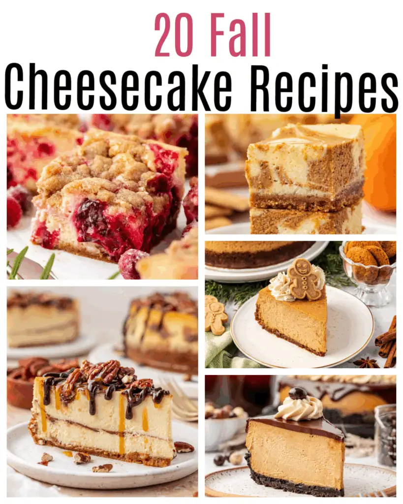 20 Fall Cheesecake Recipes To Bake Up